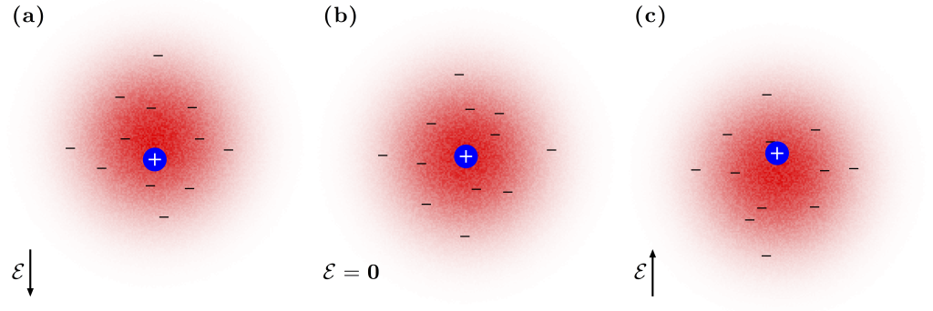 Chapter 3 — Dipole Approximation — Optical Tweezers: Principles and Applications
