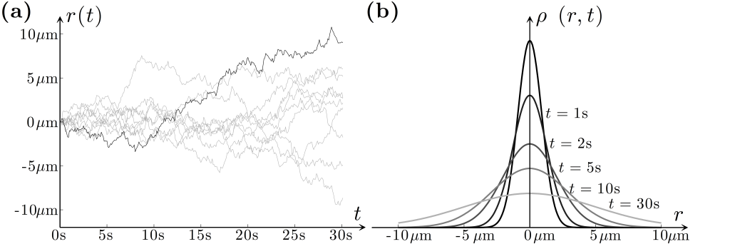 Figure 7.3 — Theories of Brownian motion: Trajectories and probability distributions — Optical ...